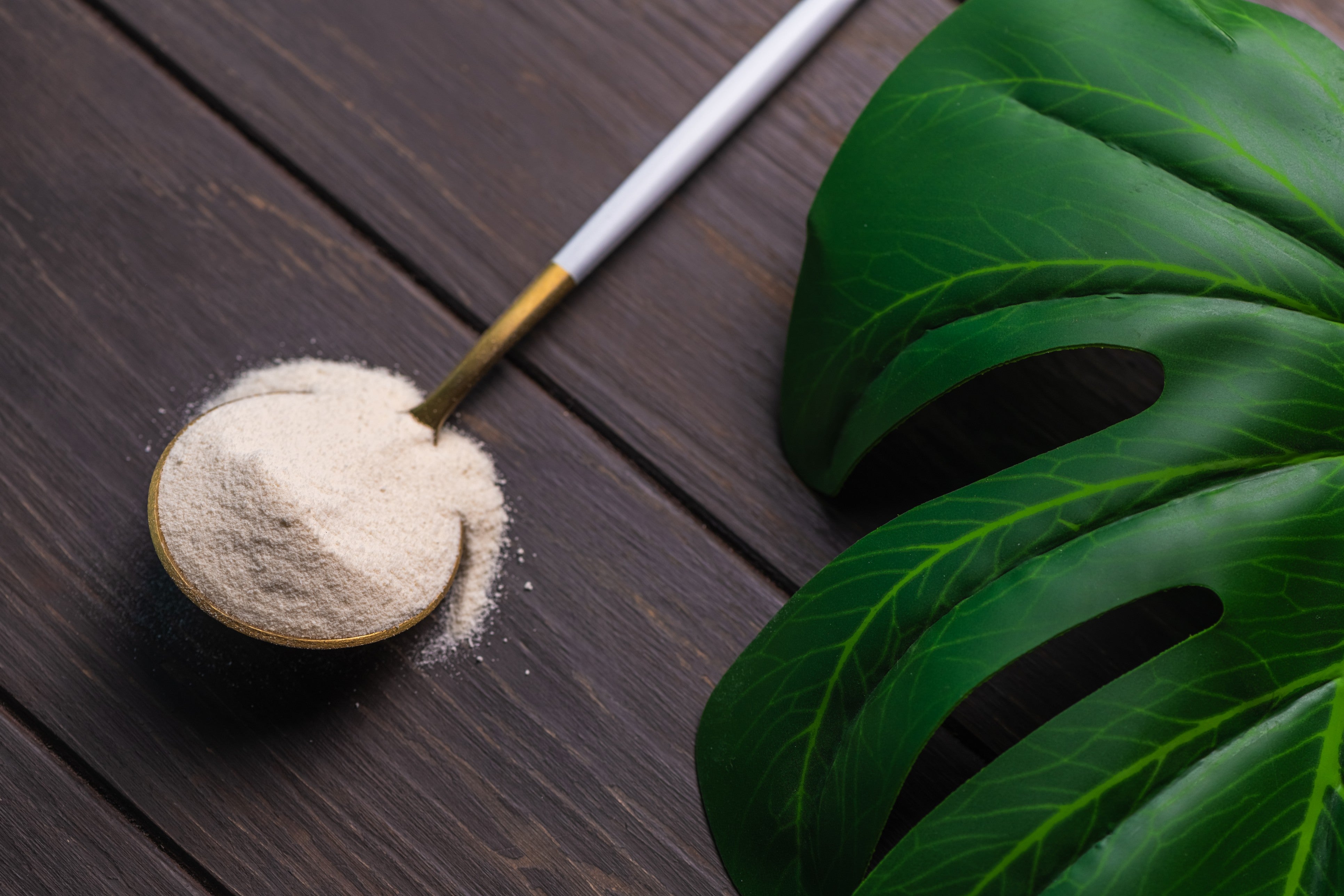 What Is Vegan Collagen? Unveiling the Plant-Powered Beauty Secret ...